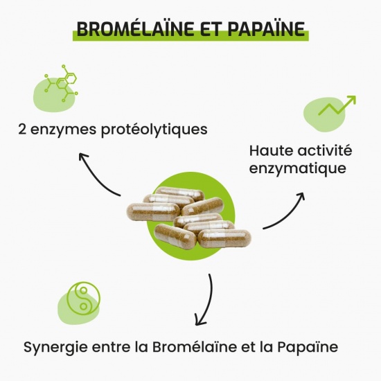 Bromélaïne Papaïne | Enzymes protéolytiques